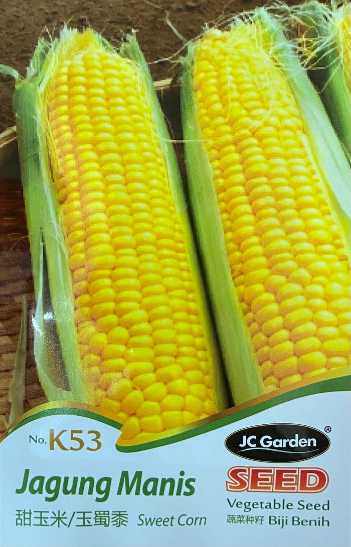 Sweet Corn – Vegetable Seeds